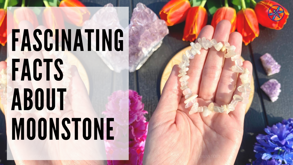 Fascinating Facts about Moonstone – Turix Crystals